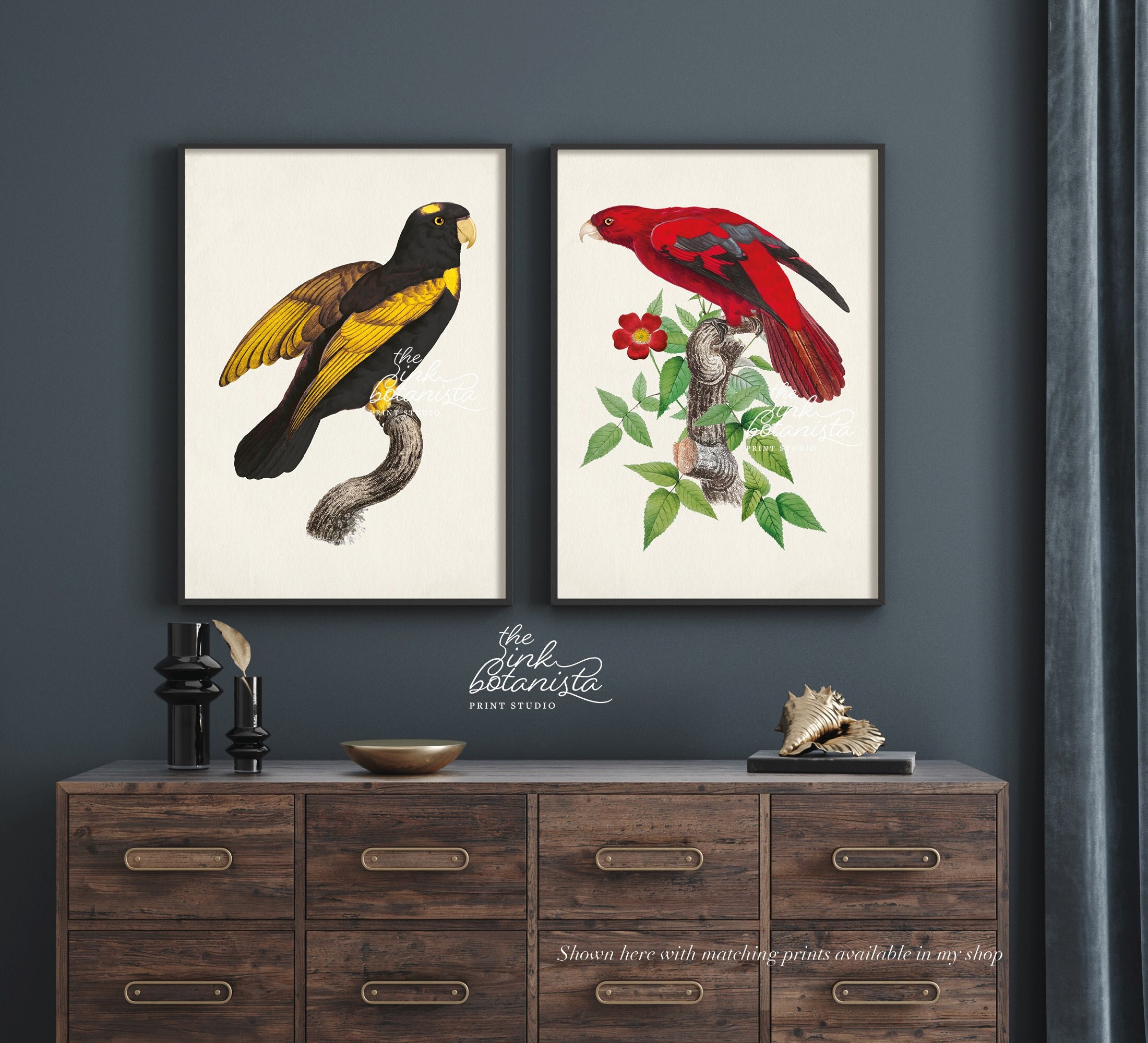 Parrot Botanical Poster Print, Vintage Style Wall Art, Antique Style ...