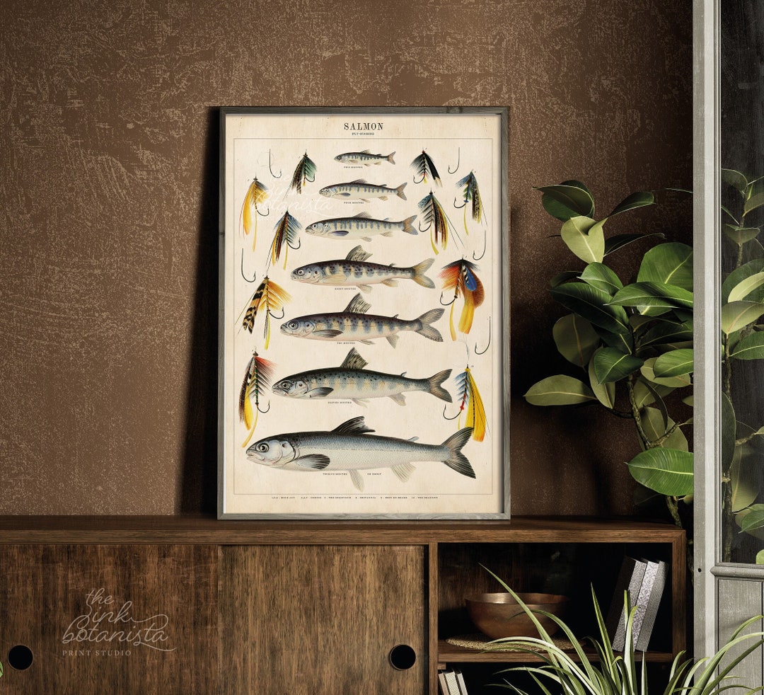 Vintage Salmon Poster, Salmon Chart Print, Fish Wall Art, Fly Fishing ...