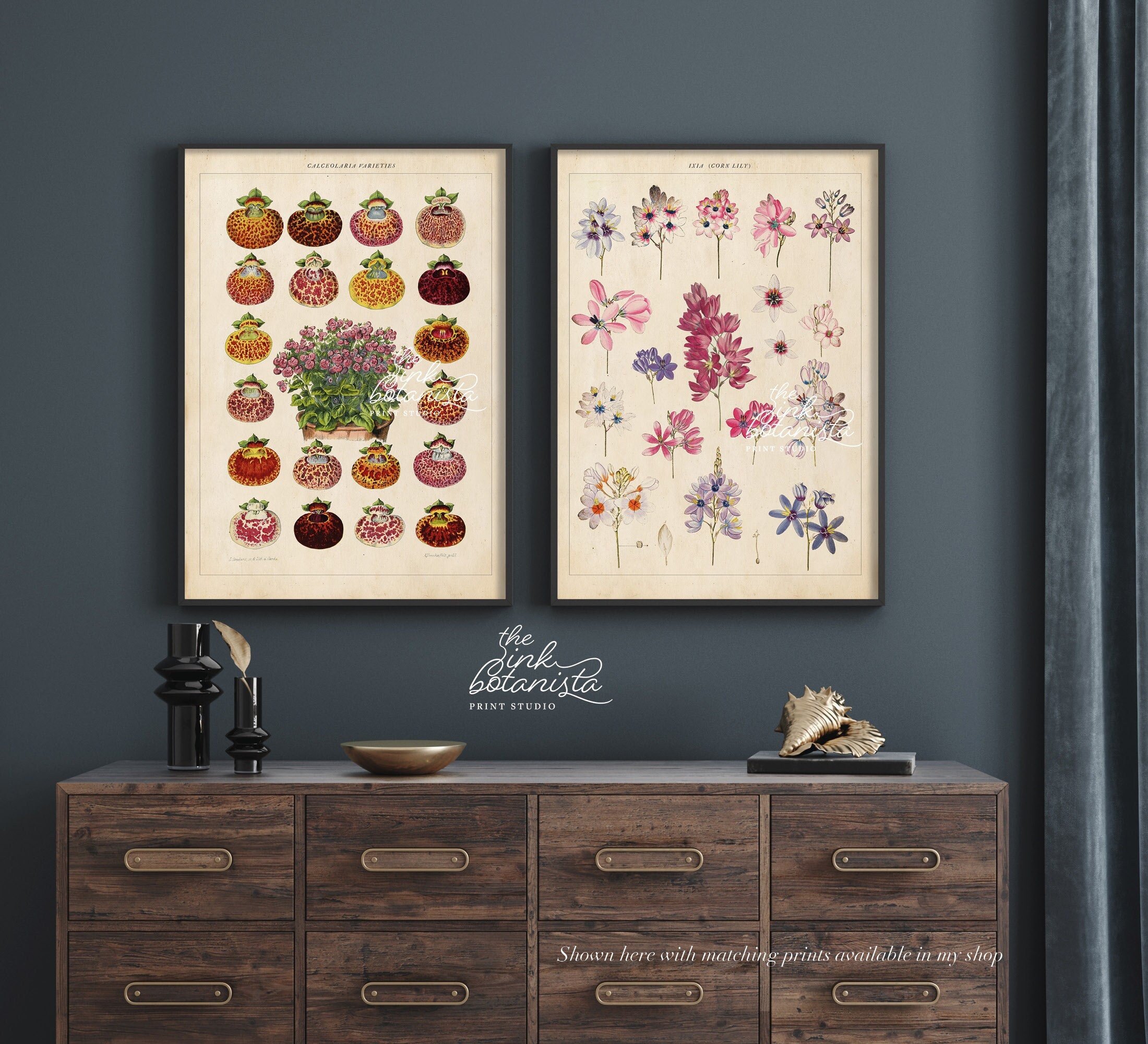 Botanical Flower Chart Print Flowers Vintage Style Print - Etsy