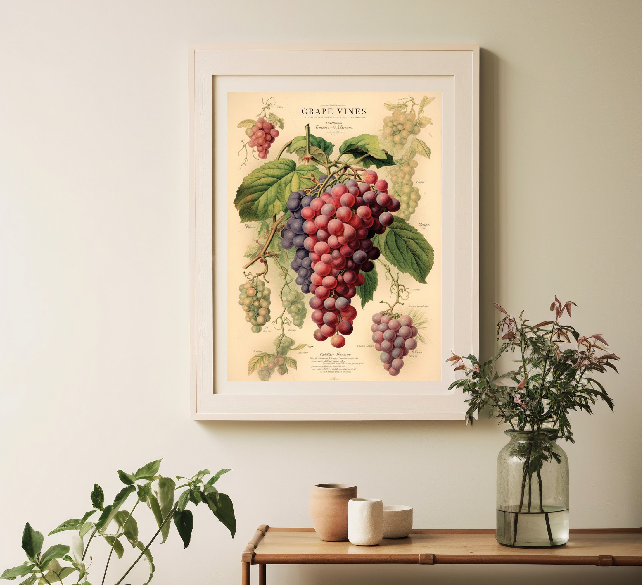 Vintage Grapes Print Wine Chart Poster Botanical Plate - Etsy