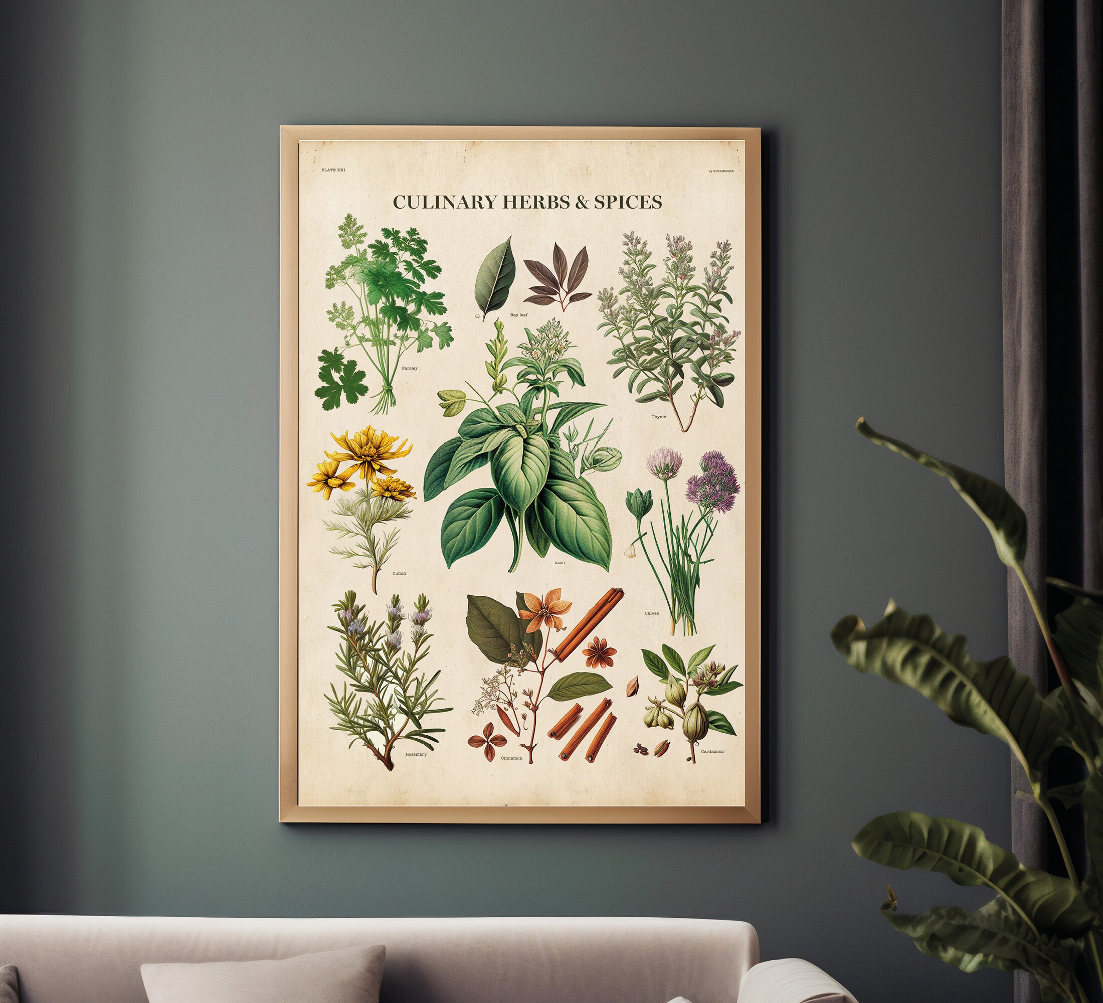 Vintage Kitchen Herbs Print: Botanical Chart Poster - Etsy
