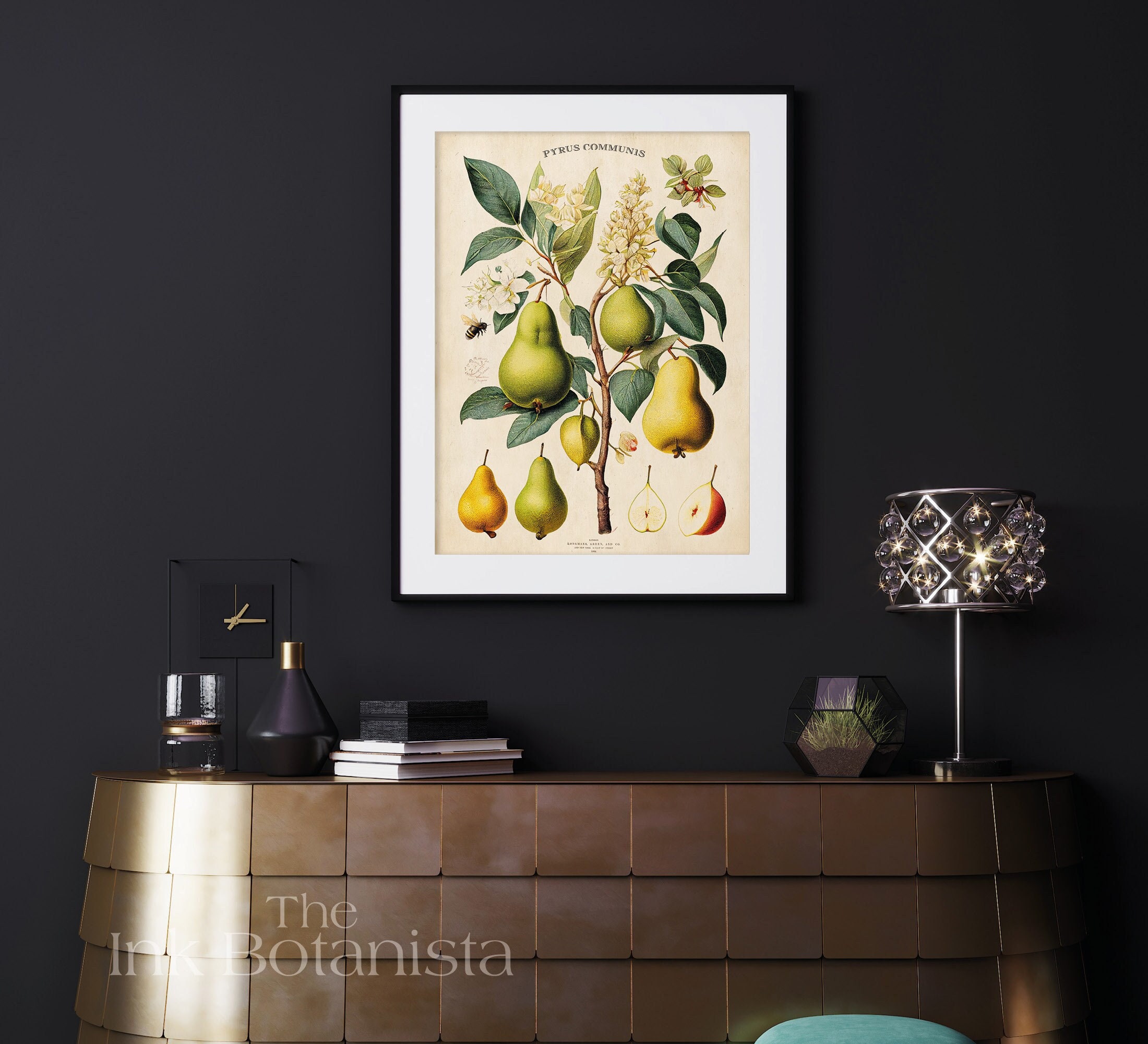 Vintage Pear Print, Fruit Poster, Botanical Poster, Kitchen Wall Art ...