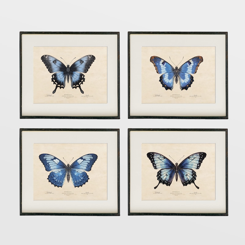 Old Butterfly Prints - Etsy
