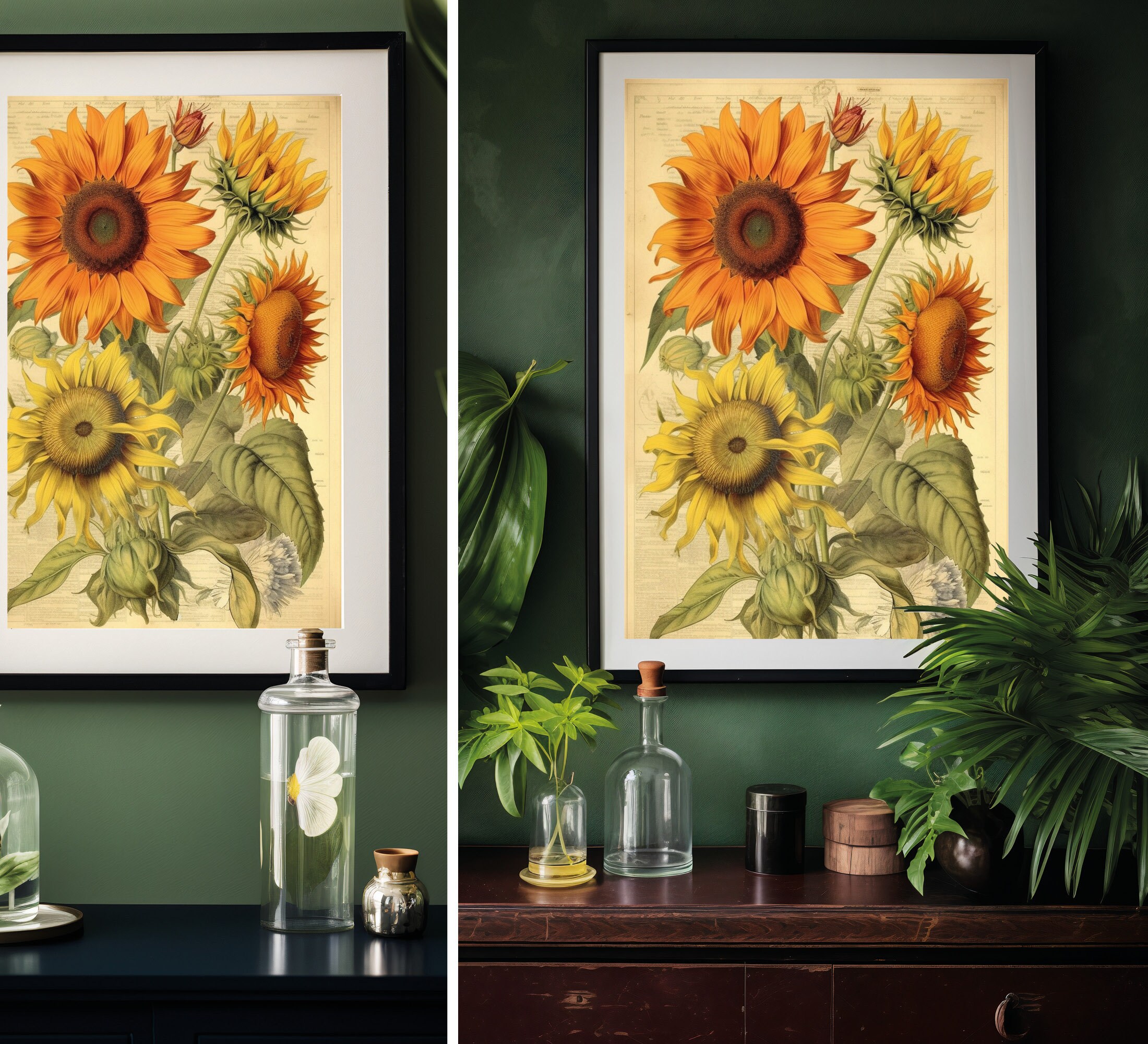 Vintage Sunflower Chart Print Old Botanical Poster Yellow - Etsy