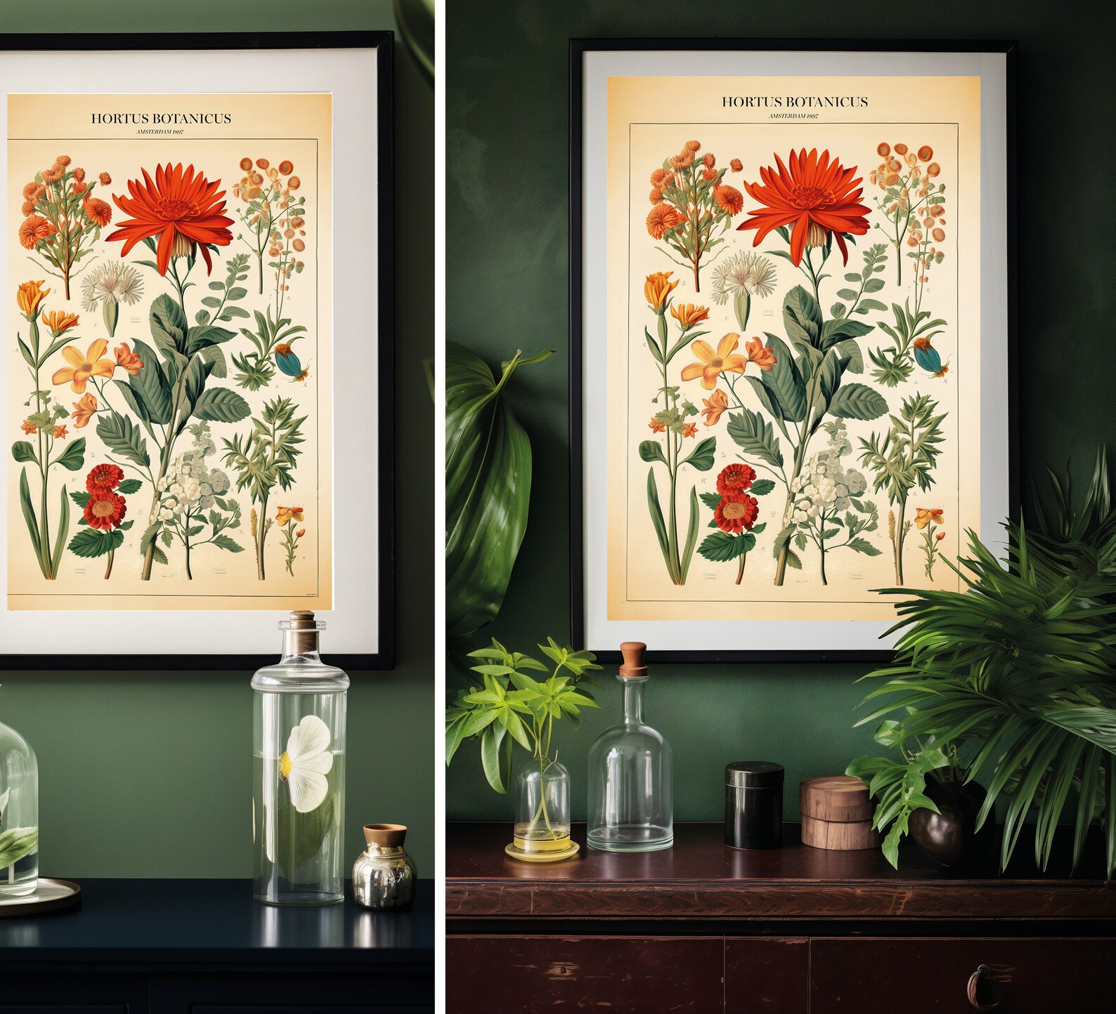 Vintage Botanical Print: Amsterdam Plant Chart Poster - Etsy