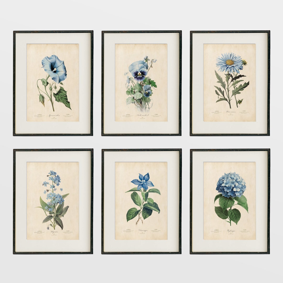 Blue Botanical Prints, Set of Six Flower Posters, Cottage Wall Art ...