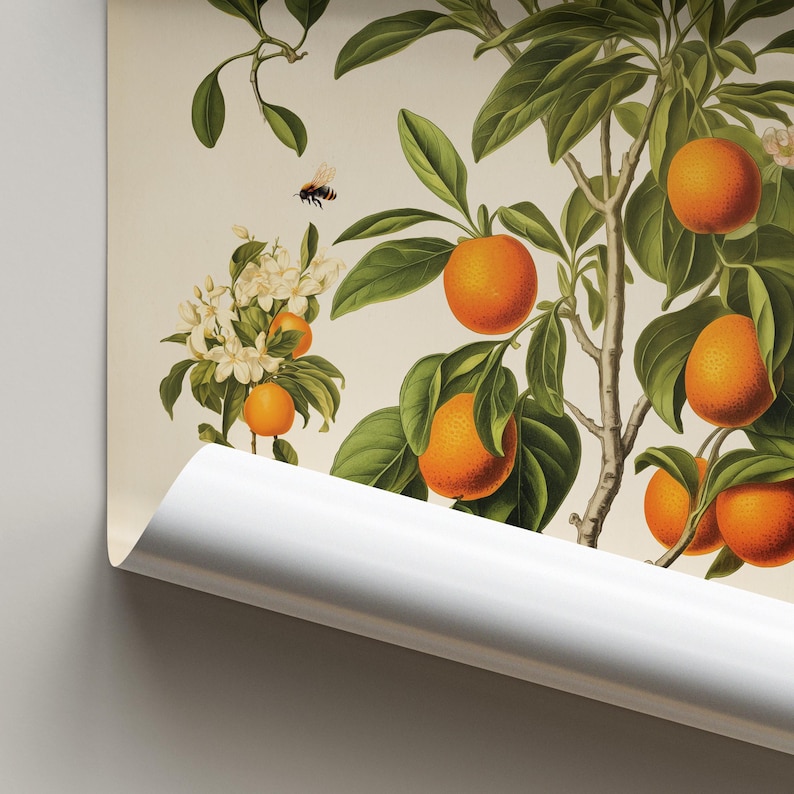 Vintage Orange Tree Print: Botanical Citrus Illustration, Farmhouse ...