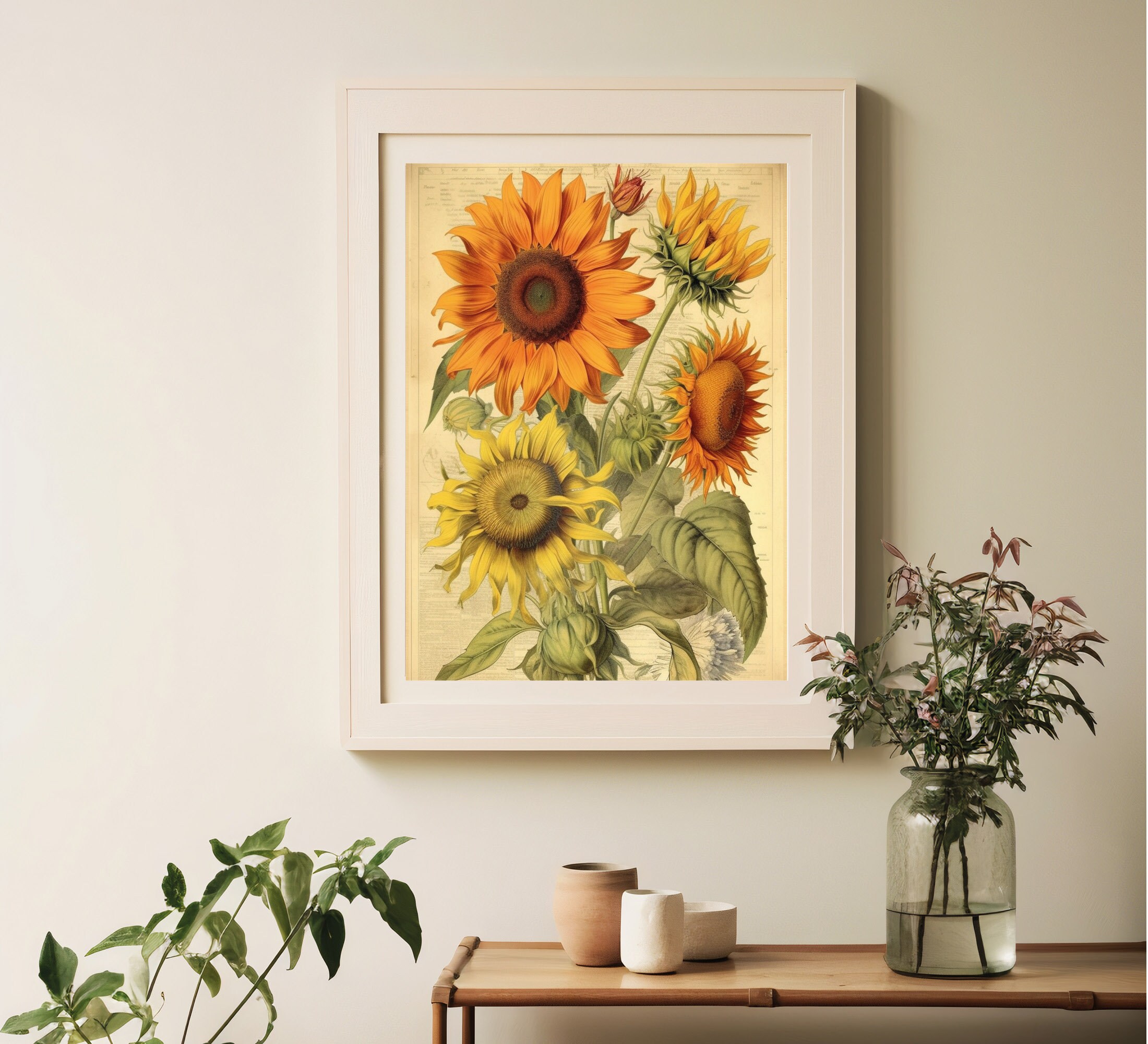 Vintage Sunflower Chart Print Old Botanical Poster Yellow - Etsy