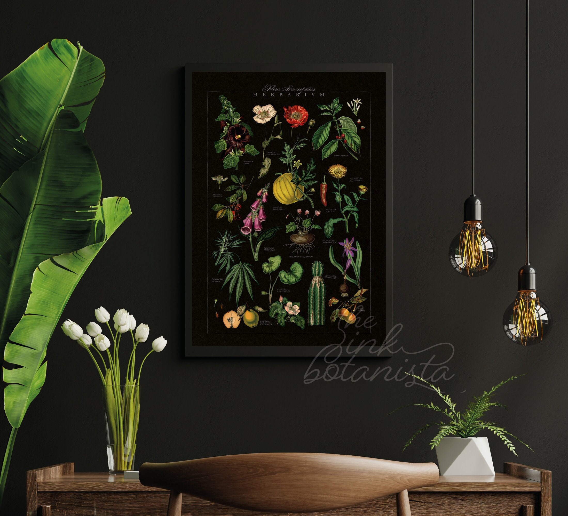 Vintage Medicinal Plants Print, Homeopathic Plants, Botanical Poster ...