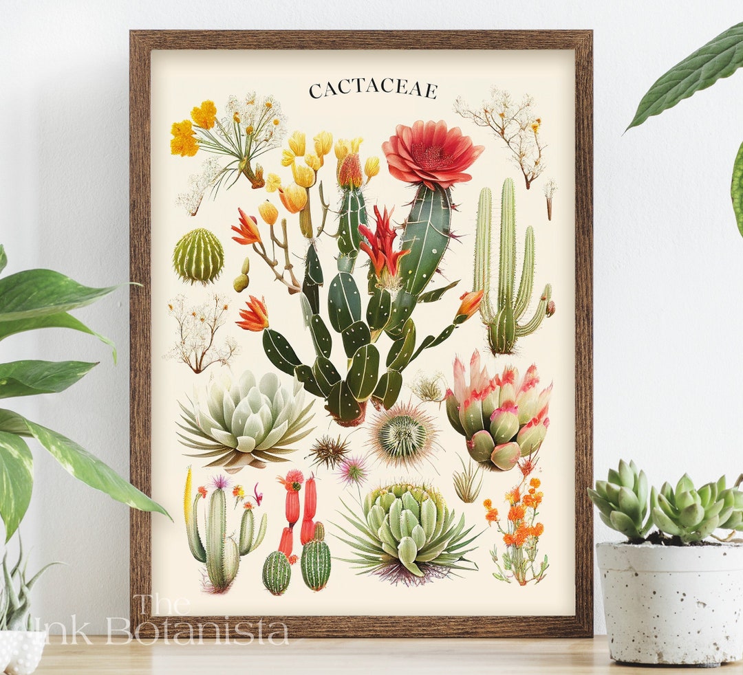 Vintage Cactus Print, Cacti Poster, Botanical Poster, Succulent Wall ...