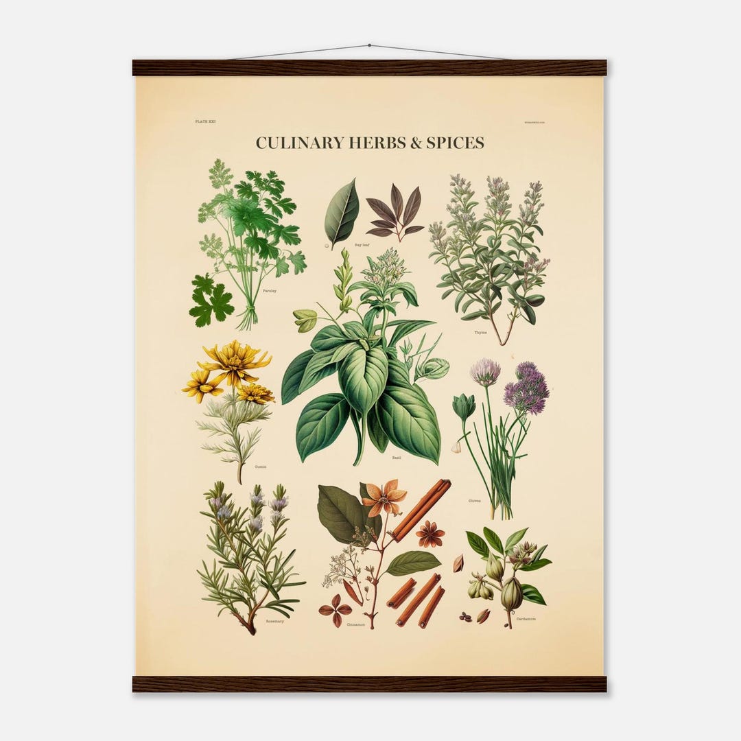 Culinary Herbs and Spices Poster With Hanger - Etsy