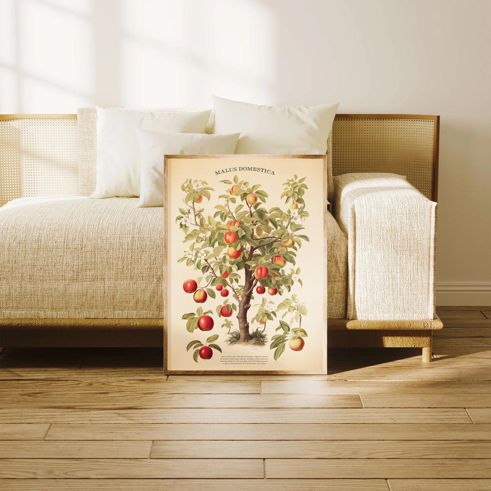 Vintage Apple Tree Botanical Print – Malus Domestica Wall Art, Rustic ...