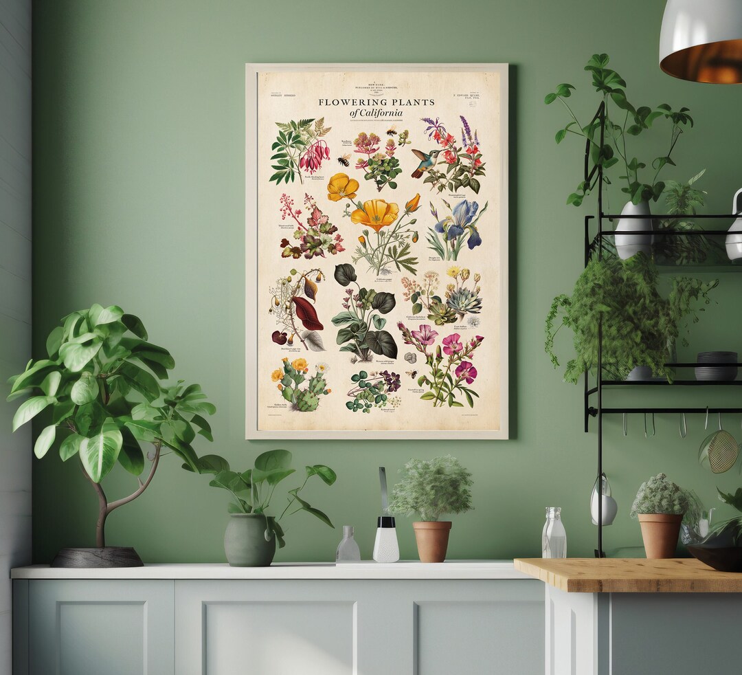 California Plants Print, Botanic Chart Poster, Flora Plant Types Print ...