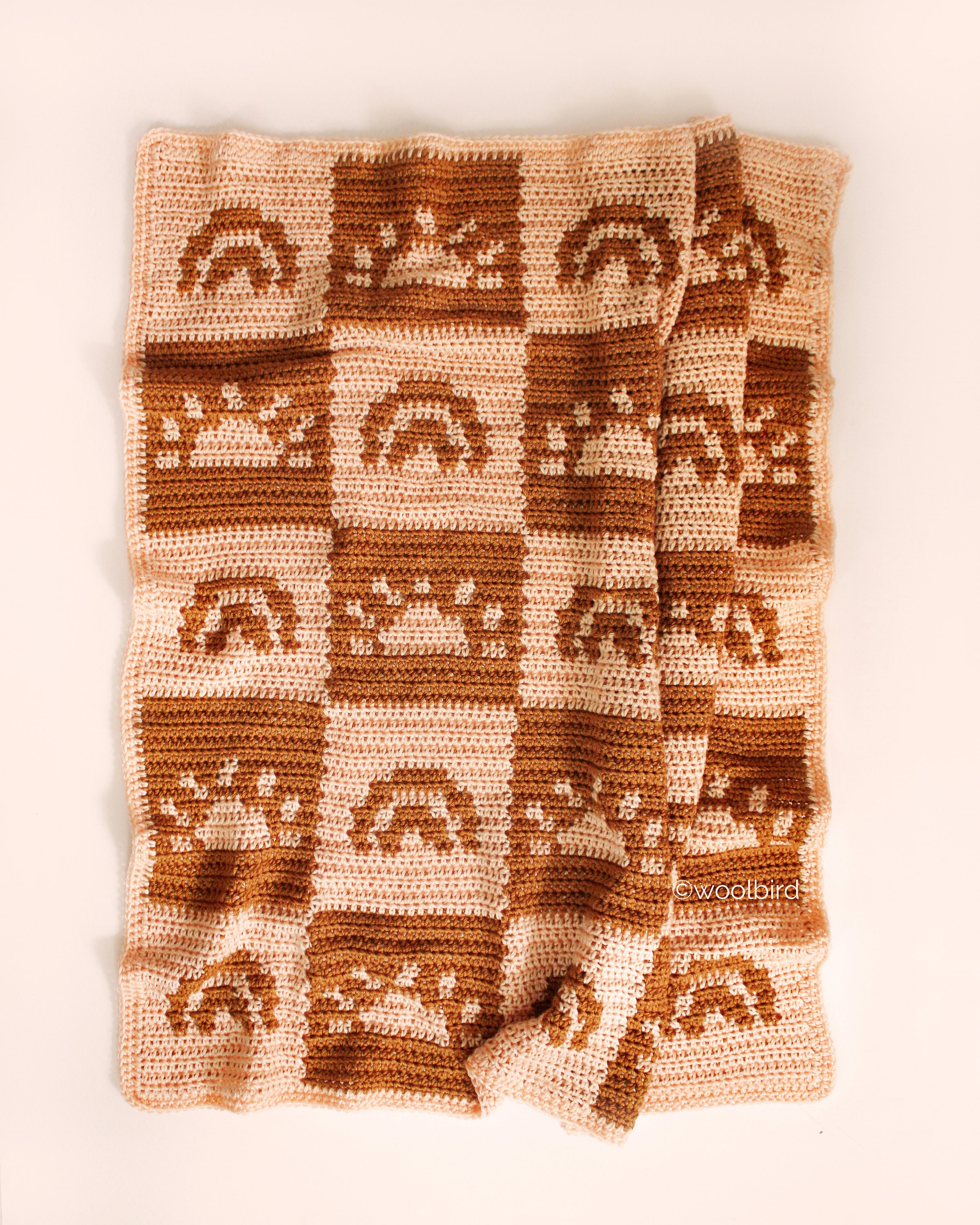 Graph Crochet Pattern Ray of Sunshine Baby Blanket Digital - Etsy