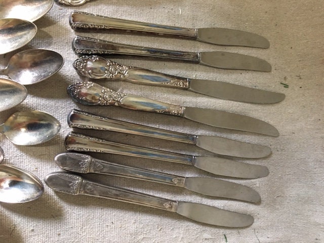 Silver Plate Silverware Mix N' Match Set (service for 8 PLUS Serving ...