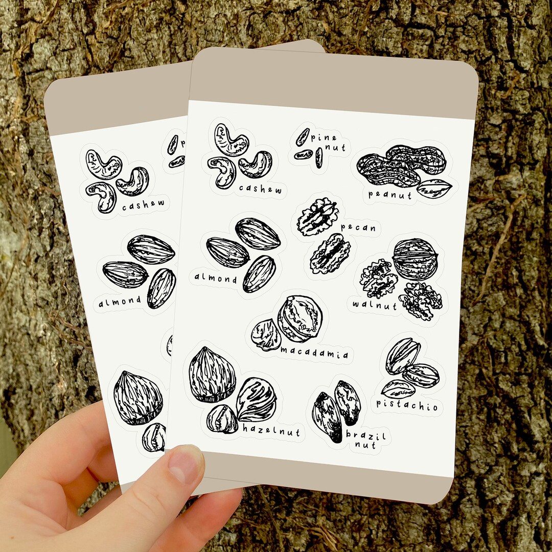 Hand-drawn Nut Doodles Sticker Sheet | 4x6 Digital Download | Nuts ...