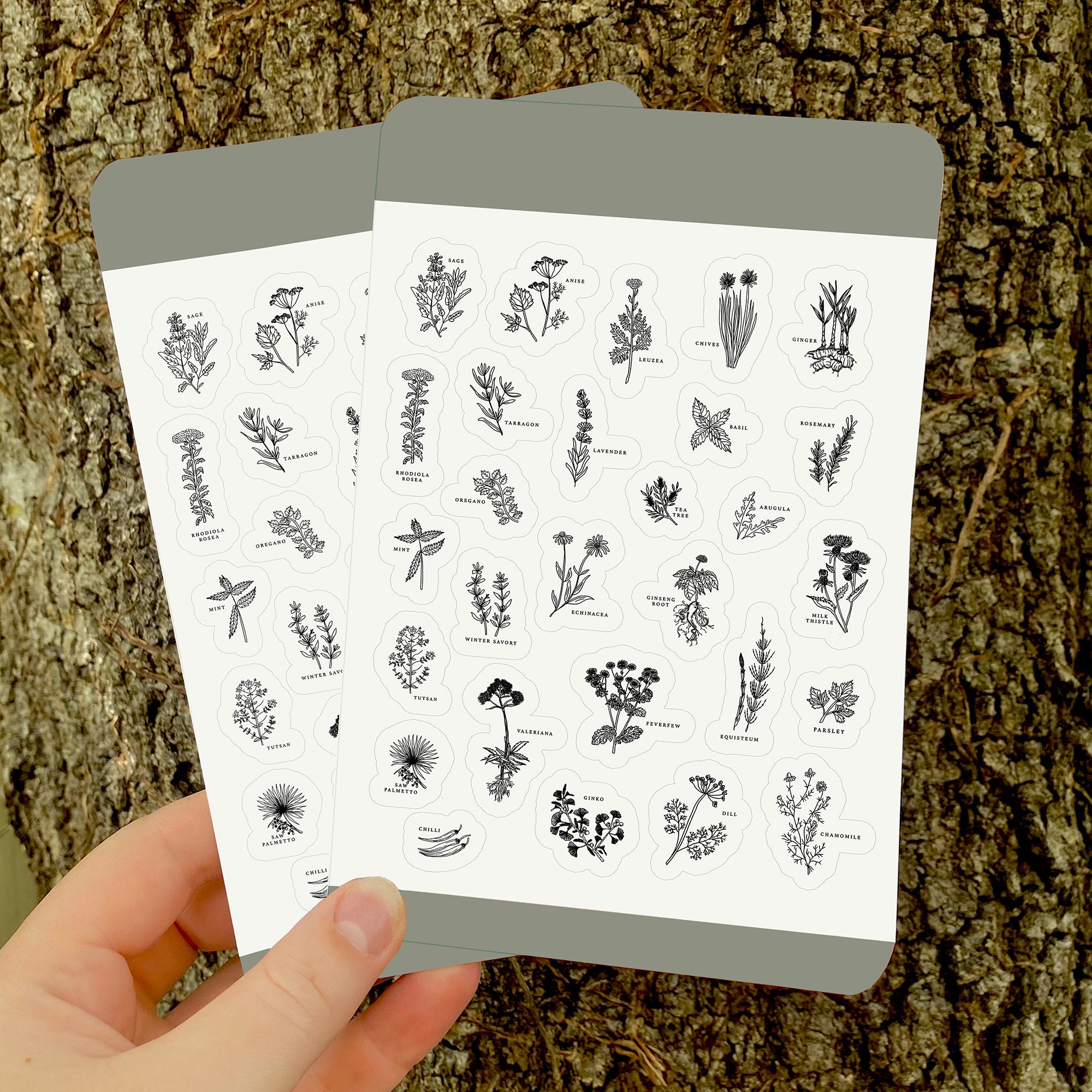 Hand-drawn Medicinal Herbs 4x6 Sticker Sheet Digital Download Herbal ...
