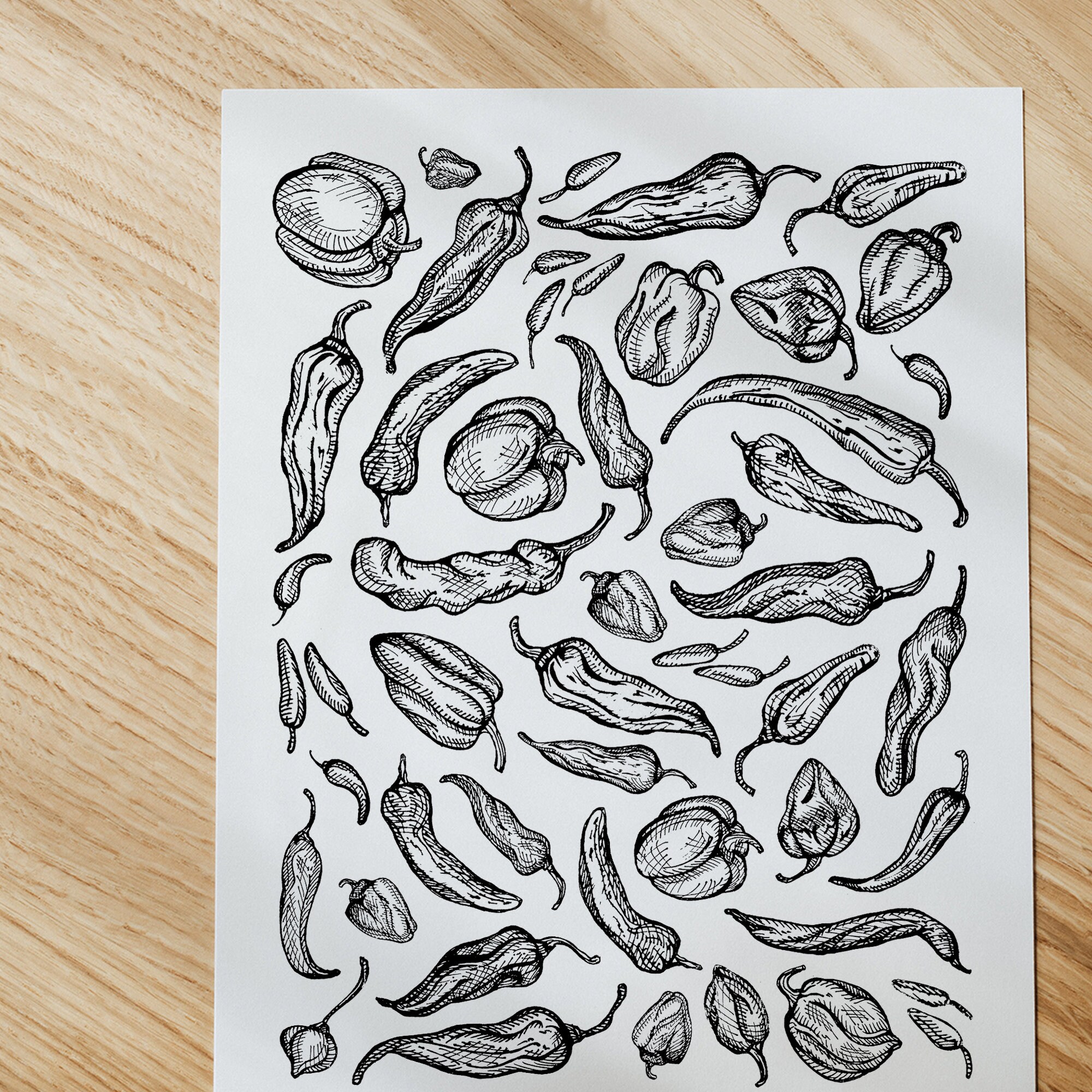 Hand-drawn Hot Pepper Digital Print | Hot Pepper Lovers | Pepper Gifts ...