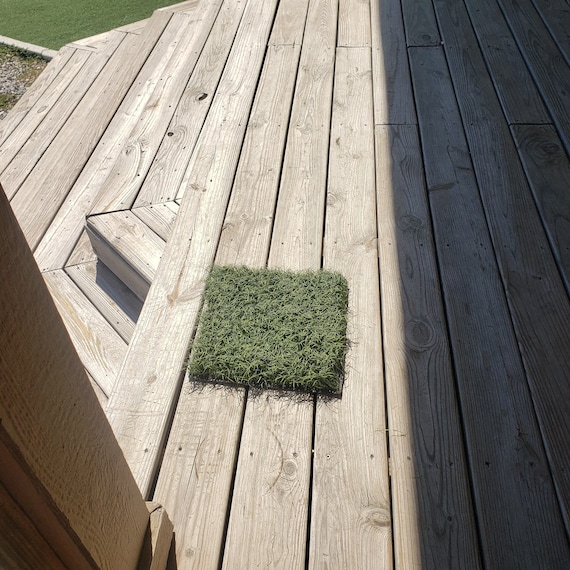 Recycled Artificial Grass - Etsy