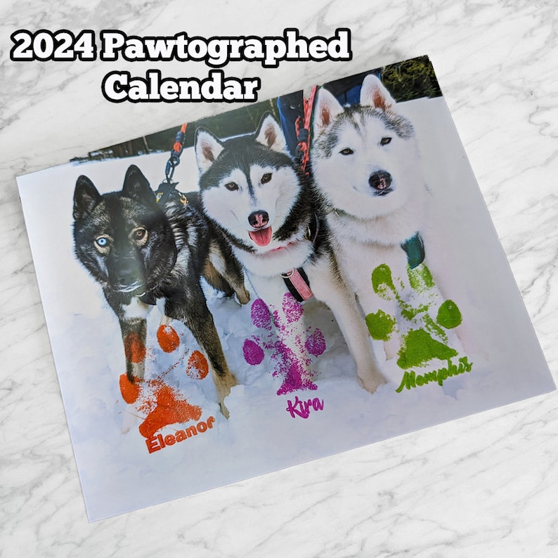 2024 Pawtographed Gone to the Snow Dogs Calendar - Etsy