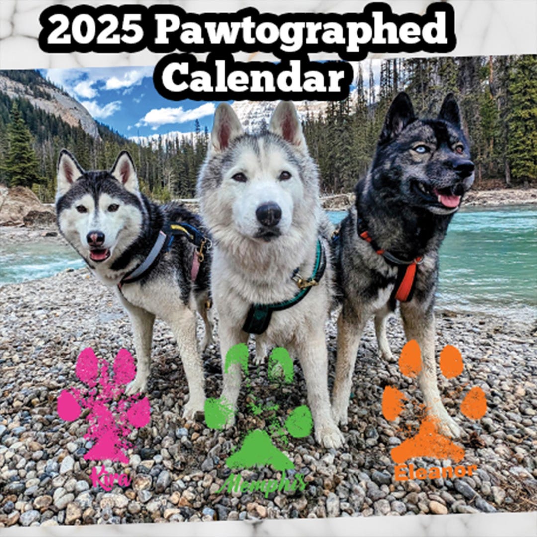2025 Pawtographed Gone to the Snow Dogs Calendar! - Etsy