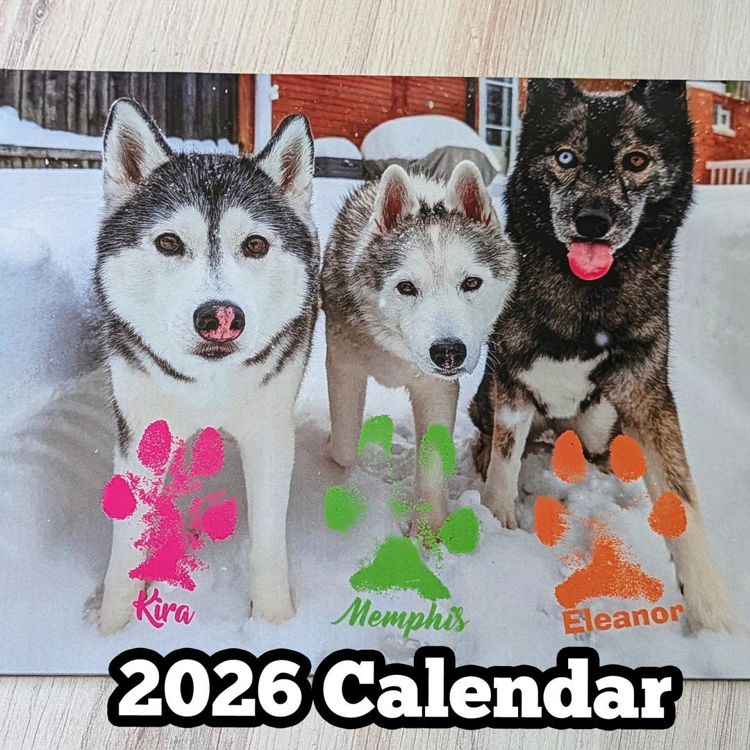 2026 Pawtographed Gone to the Snow Dogs Calendar! Siberian Husky ...
