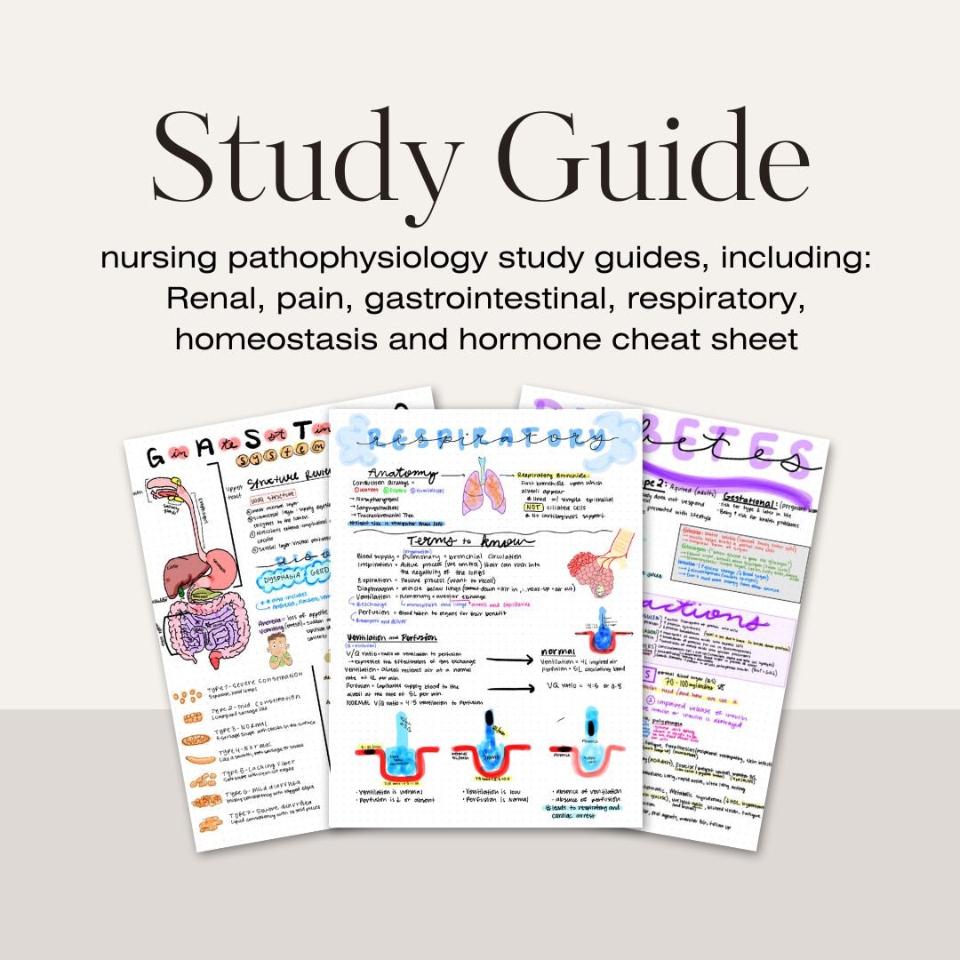 Nursing Patho Notes: 6 in 1 Bundle - Etsy