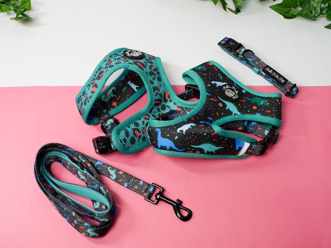 Galactasuraus Reversible Harness / Dinosaurs / Space / Leopard - Etsy