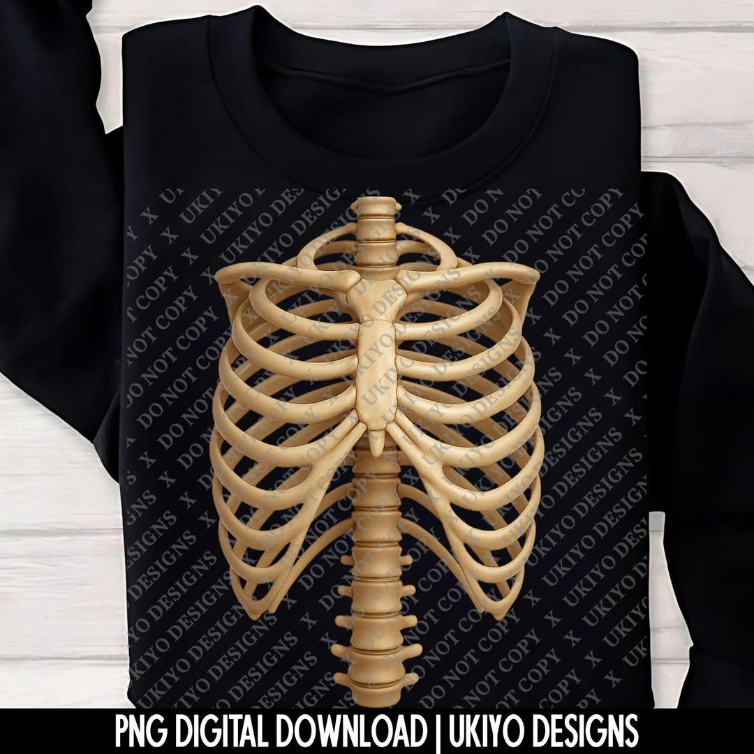 Hyper Realistic Rib Cage & Spine PNG | Anatomical Skeleton Clipart ...