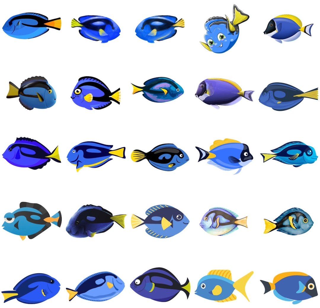 25 Images: Blue Tang Fish, Paracanthurus Hepatus, Underwater, Sea ...