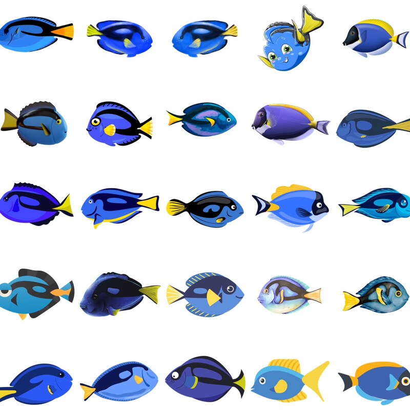 Blue Tang Fish - Etsy