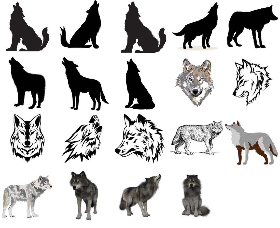 40 Images: Wolf, Animal Clipart/png Bundle, Digital Download, Instant ...