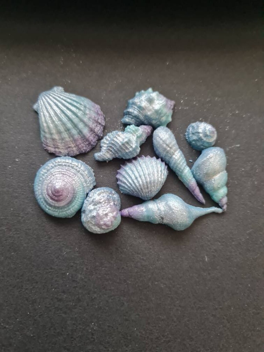 Set If 10 Teal/purple Edible Sea Shells - Etsy