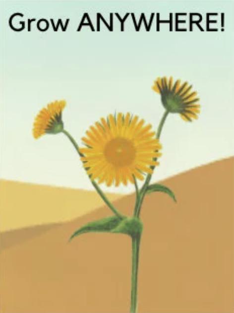 Grow Anywhere Printable PDF Poster Sunflower Desert Motivational ...