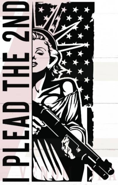 I Plead the 2nd Vinyl Decal, Gun Vinyl Decal, 2nd Amendment Decal ...