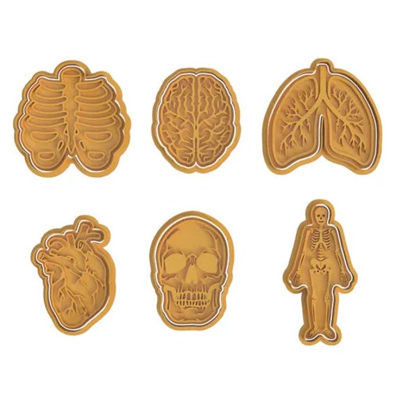 Tools & Utensils Baking Tools Body Organs Cookie Cutter Baking Home ...