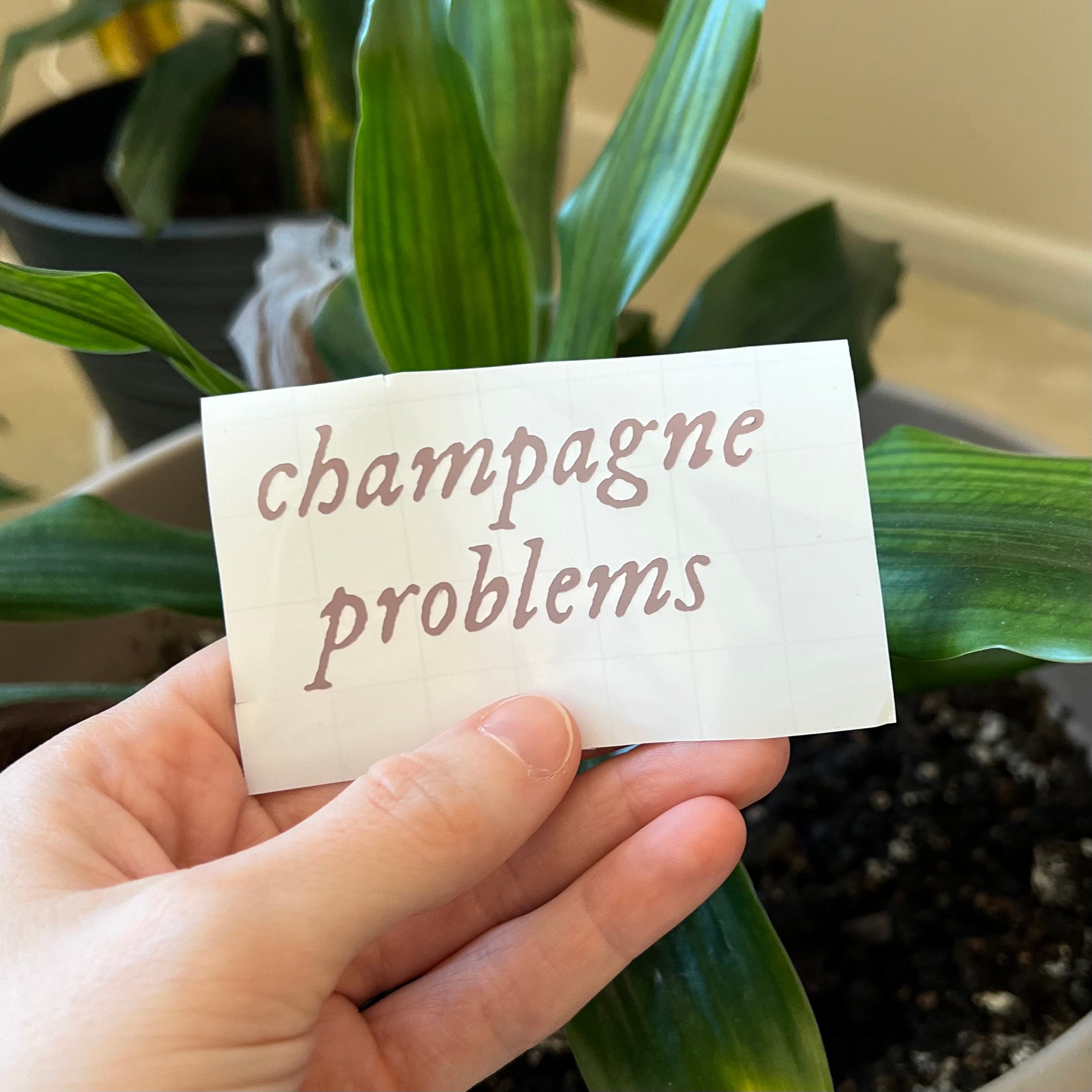 Champagne Problems Decal - Etsy
