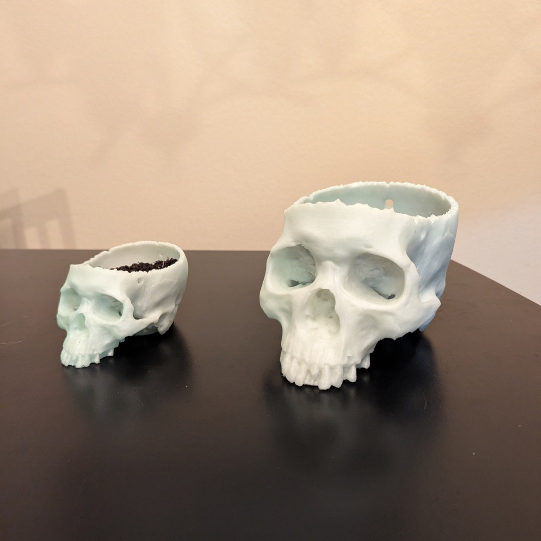 Glow-in-the-dark Human Skull Planter - 3D Printed PLA Decor - Etsy