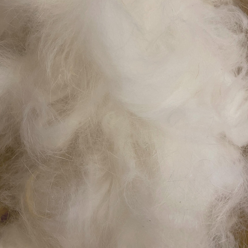 Angora Fiber - Etsy