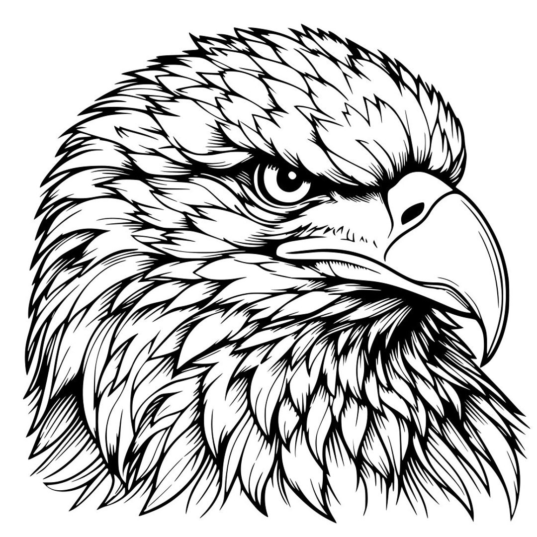 Hand-crafted Bald Eagle (3rd) Design SVG Files for Silhouette Cameo and ...