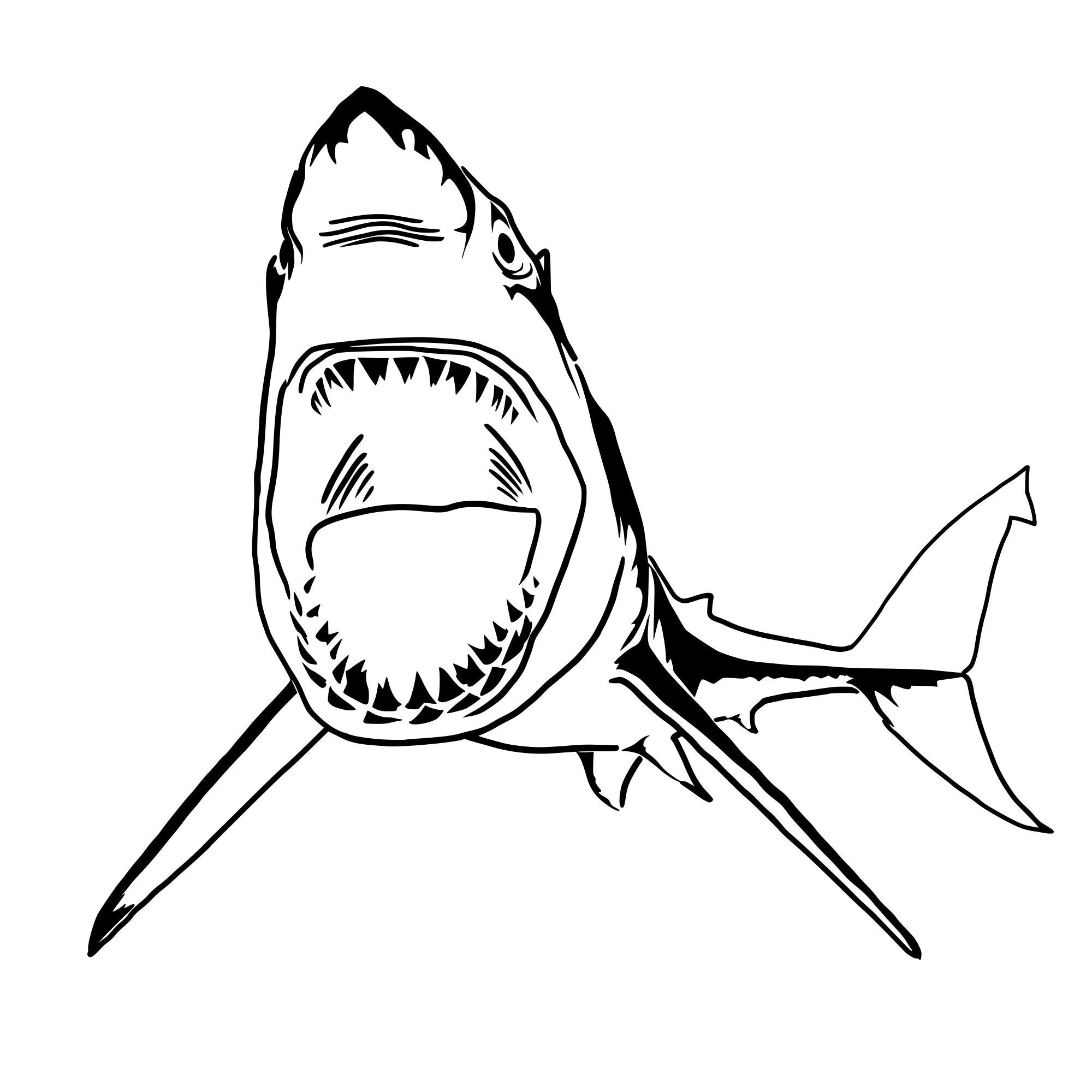 Great White Shark Designs