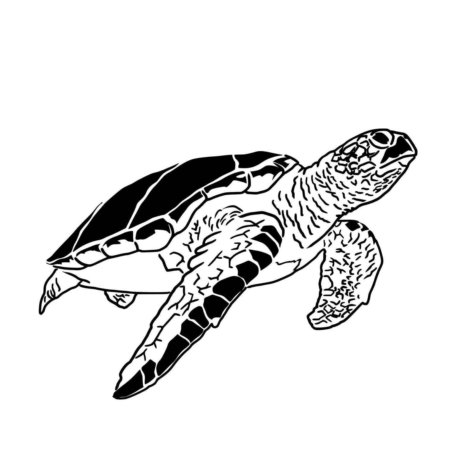 Hand-crafted Sea Turtle Design SVG Files for Silhouette Cameo and ...