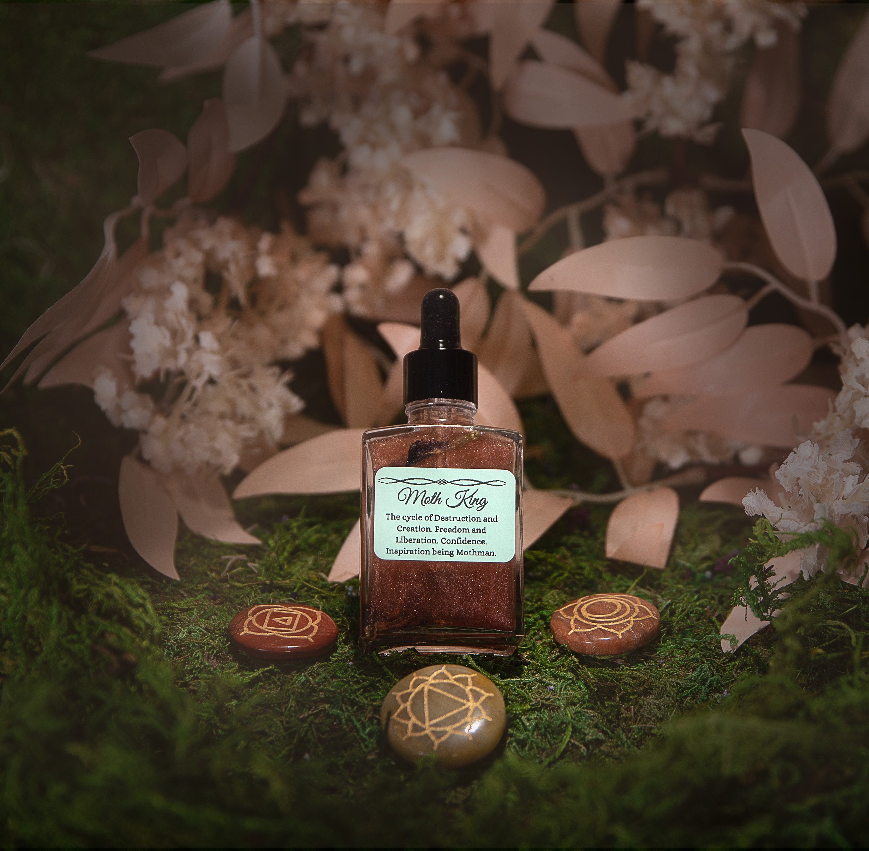 Moth King Mothman Birth & Destruction Moth Spiritual Spell Energy Witch ...