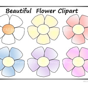 Flower Clipart PNG ~ Colorful Floral ~ Botanical Clipart ~ Simple ...