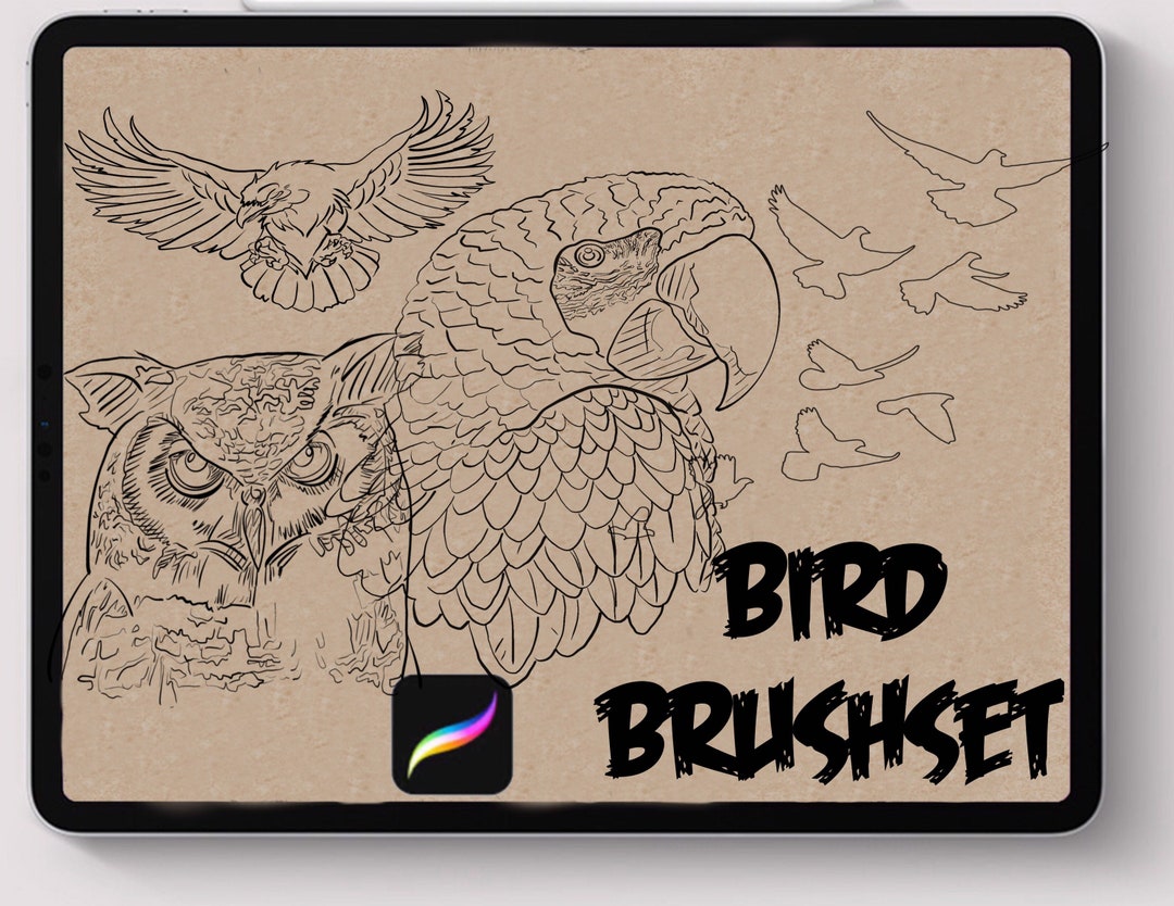 Tattoo Procreate Brushes Birds - Etsy