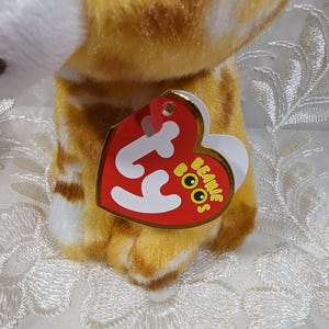Ty Beanie Boo - Pablo the Chihuahua Dog - Mint Plush Toy (6in) - Etsy
