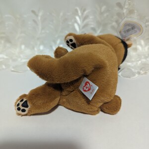 Ty Beanie Bellies Scully the Pirate Bear 8in - Etsy