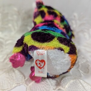 Ty Beanie Boo - Scout the Koala (5in) *claire's Exclusive* Non-mint Tag ...