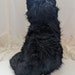 Ty Classic Collection - Shadow the Black Cat (12in) *rare* Near Mint - Etsy