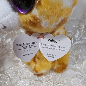 Ty Beanie Boo - Pablo the Chihuahua Dog - Mint Plush Toy (6in) - Etsy